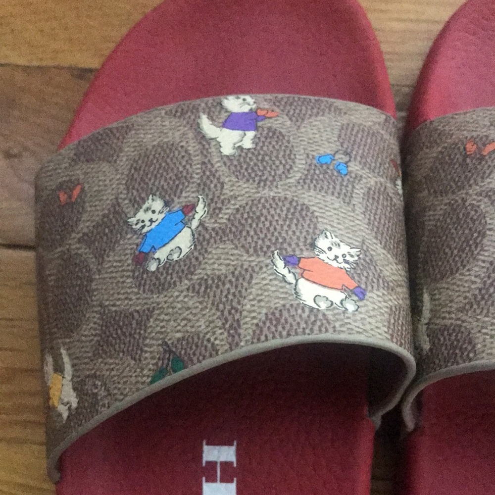 Coach Udele Printed Signature Slide - Gem